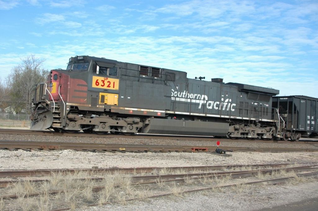 Not all grays are aliens